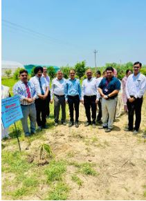 Plantation of Bud Wood Bank